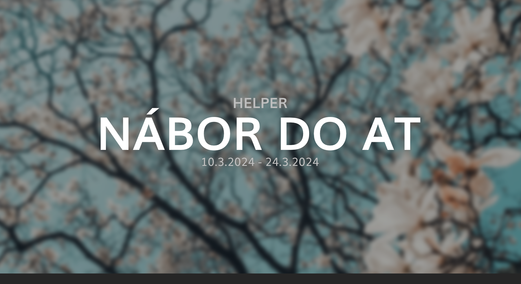Nábor do AT: Helper